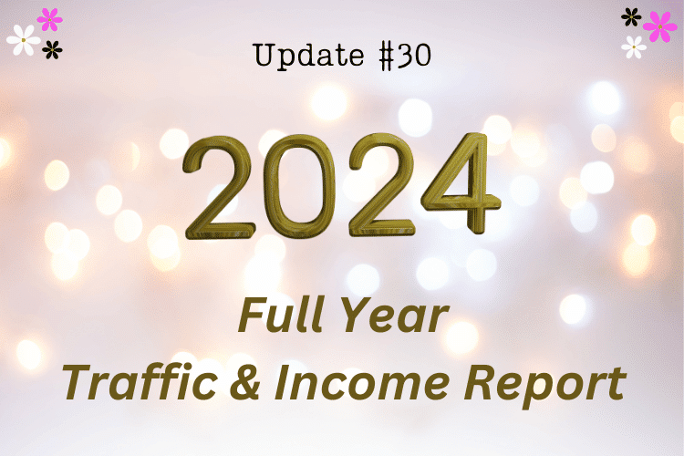 Update #30 – 2024 Traffic & Income Report